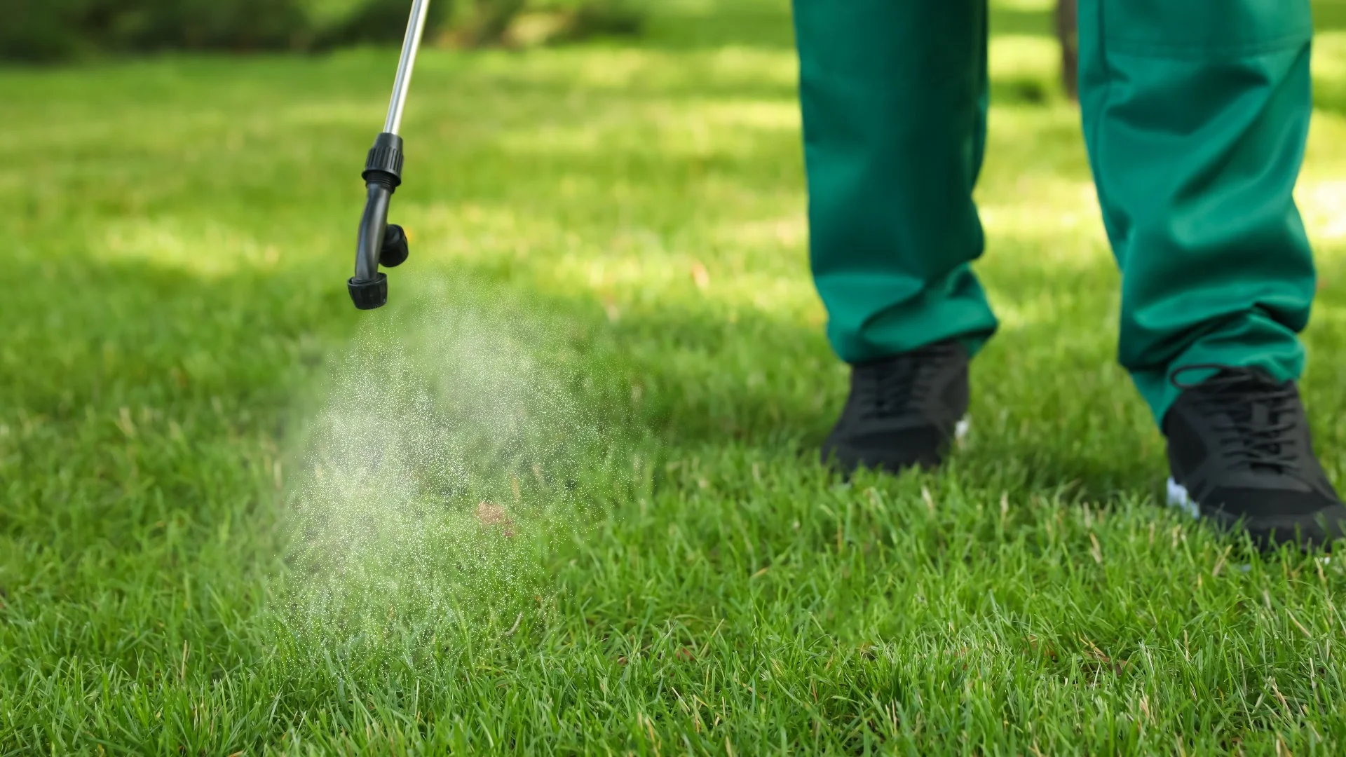 Weed Control | New Smyrna Beach, Port Orange & Ponce Inlet, FL | Leafy ...